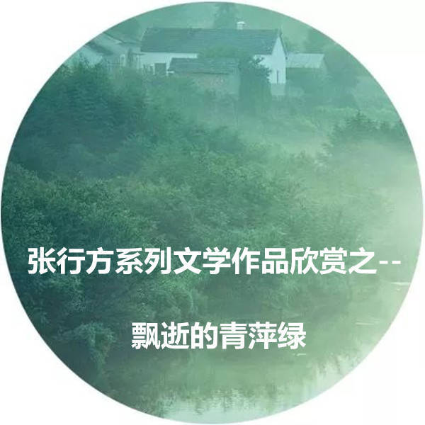 Appreciation of Zhang Xingfang's Series of Literary Works - The Gone ...
