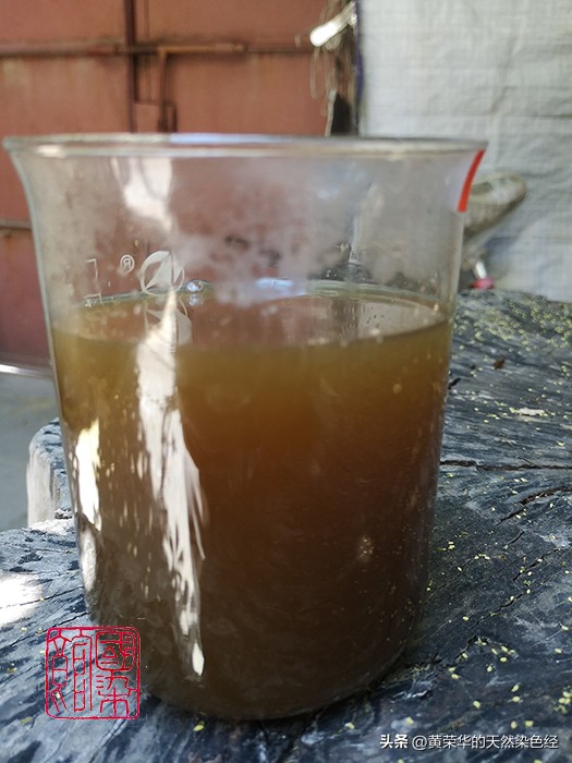 Vegetable dyed dry goods | Vegetable dyes - cypress - iNEWS