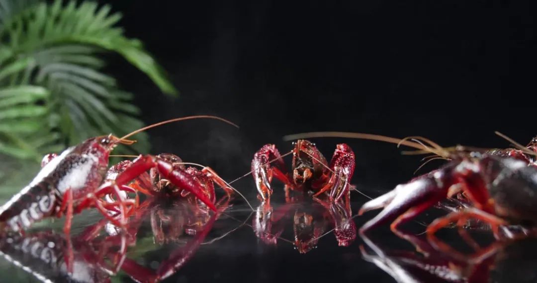 Consumption tips for eating crayfish - iNEWS