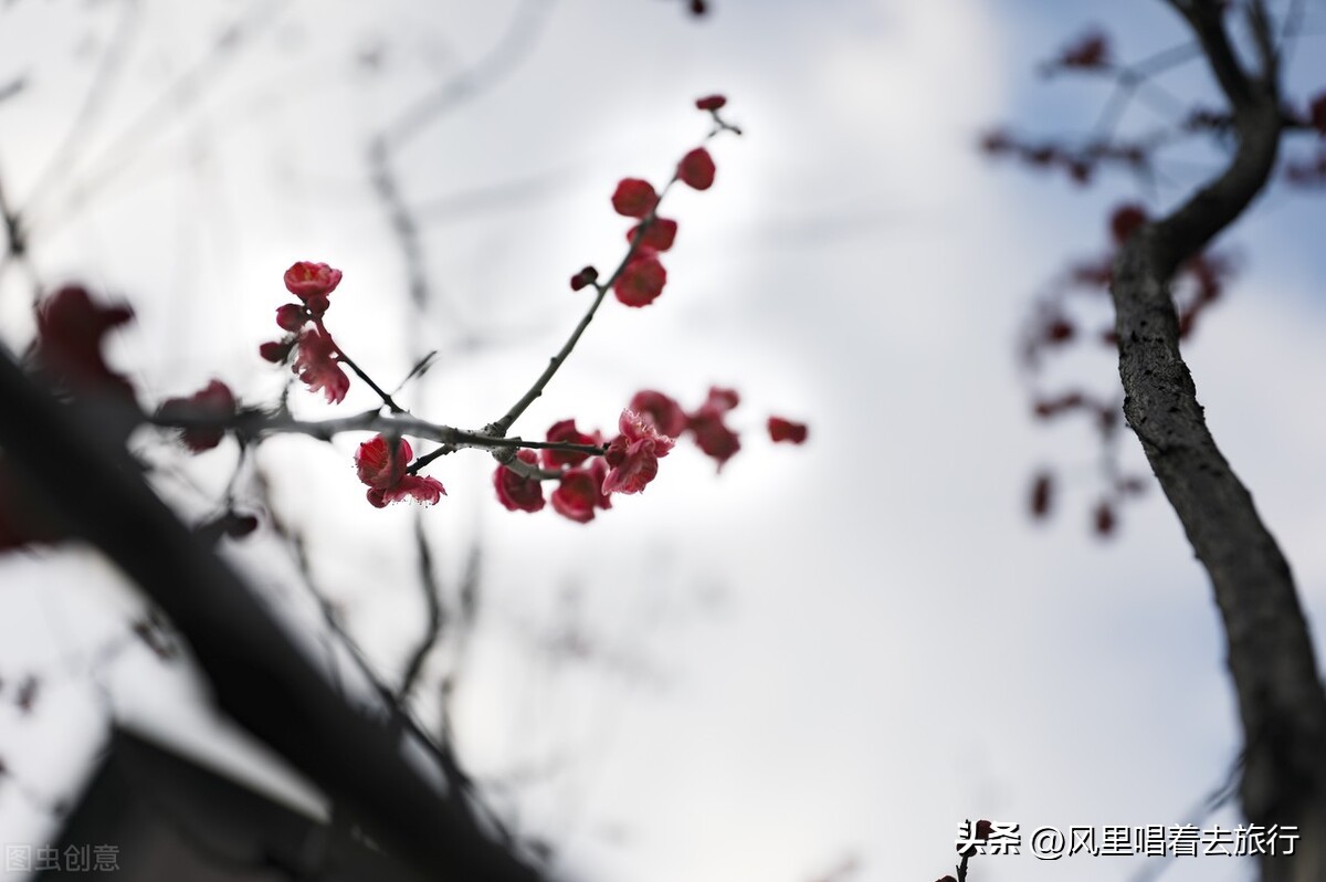 These two ancient poems are full of integrity and integrity, one of ...