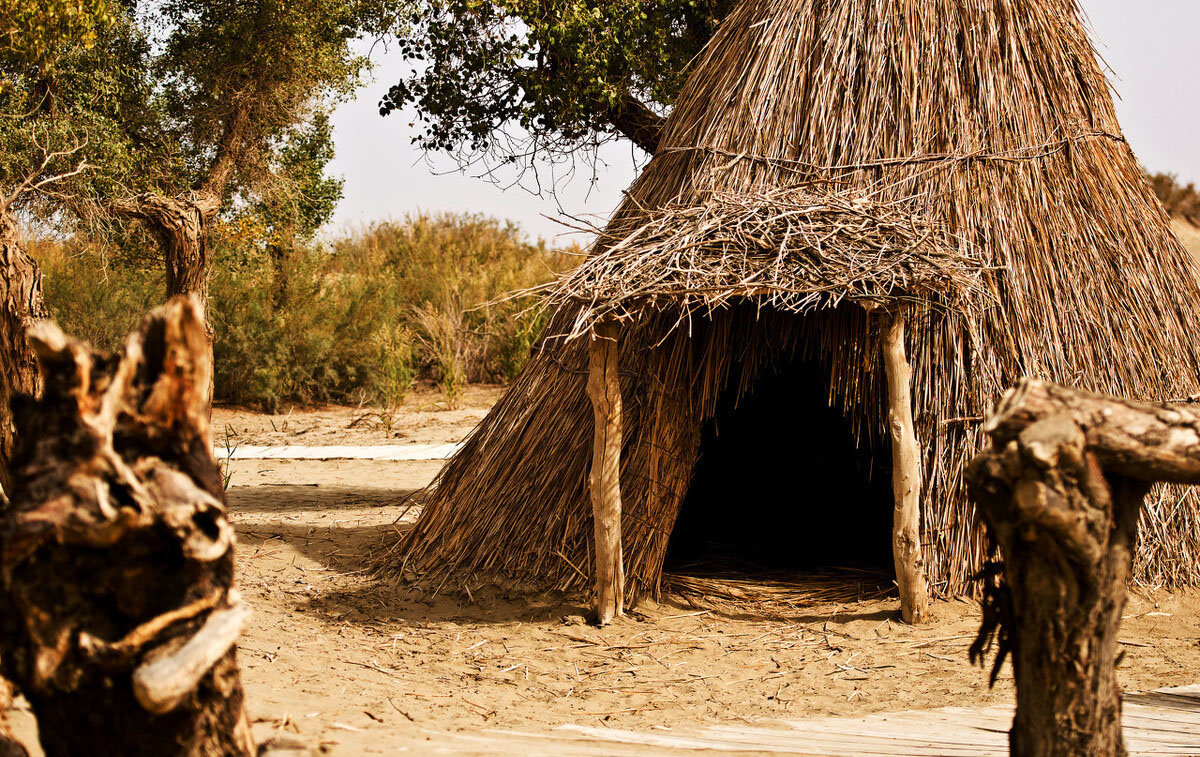 The desert natives in the depths of Lop Nur, who do not eat grains and ...