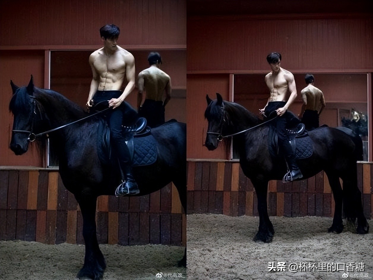 Dai Gaozheng introduces +10 dramas!The warlord of "Girls of Gold ...