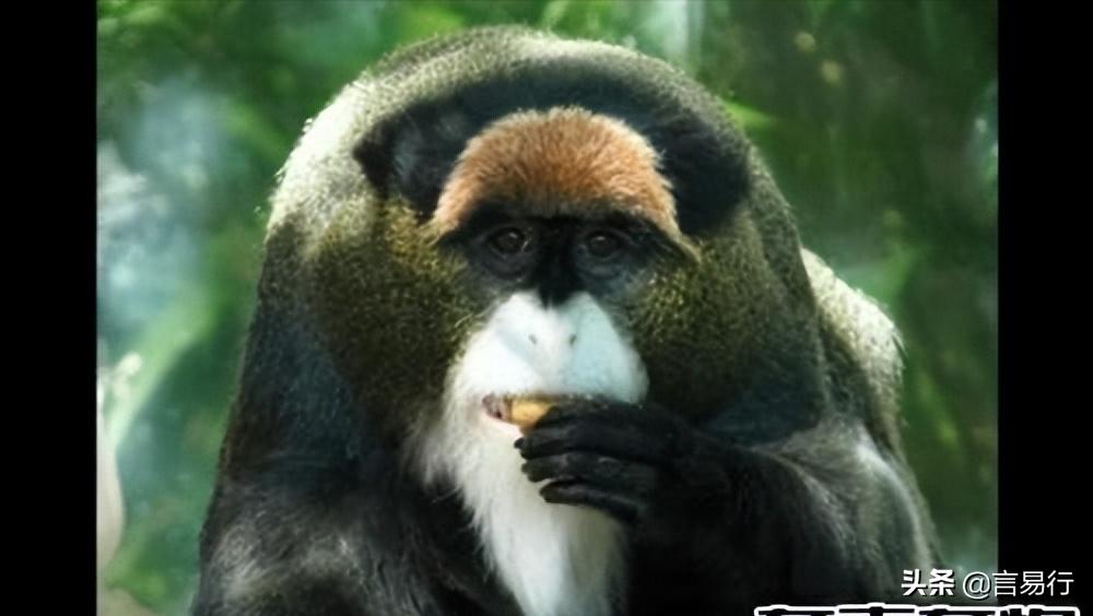 Where did AIDS develop (where did AIDS originate) - iNEWS