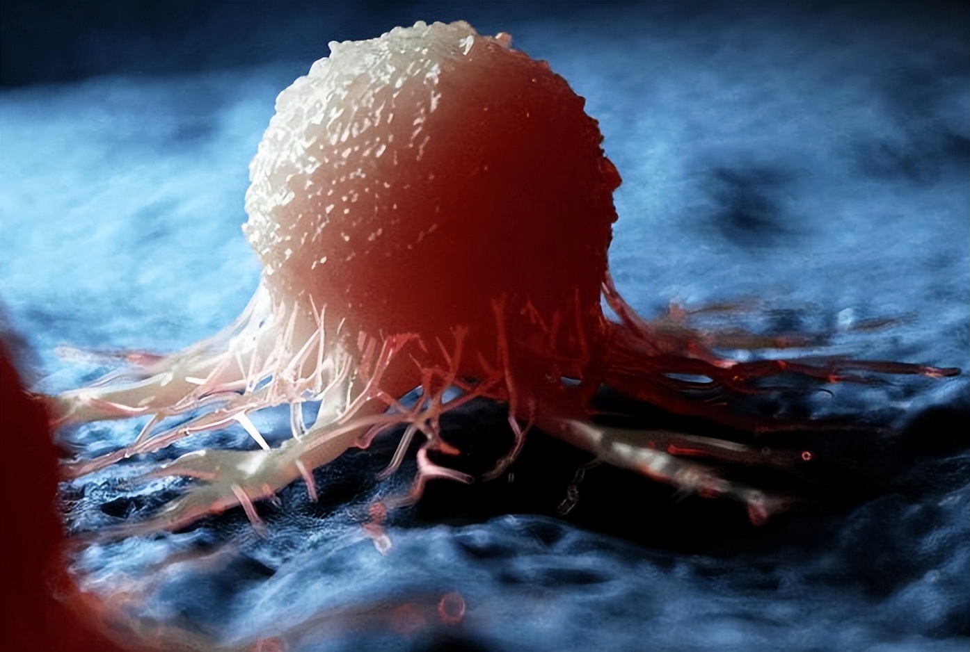 British research: Eating peanuts often promotes cancer metastasis, can ...