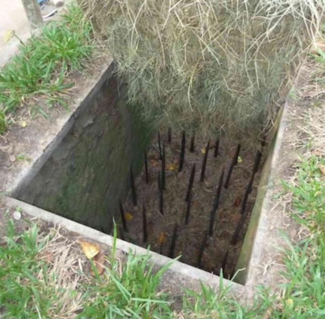 A poop in a showcase at the U.S. Air Force Museum: a military secret ...