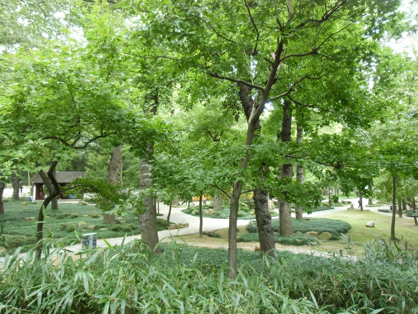 Gaoyi Pinnacle - Suzhou Tianping Mountain (2) - iNEWS