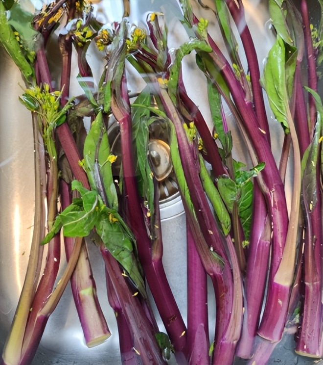 I suggest everyone: no matter men or women, eat more of this seasonal ...