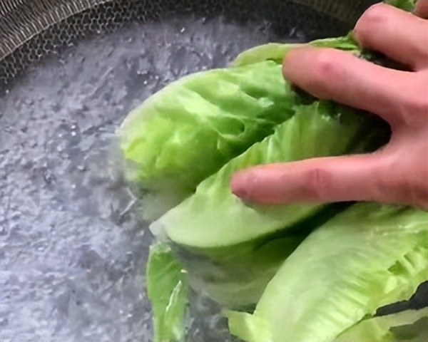 Lettuce in oyster sauce is perfect, crisp and delicious, fresh and ...