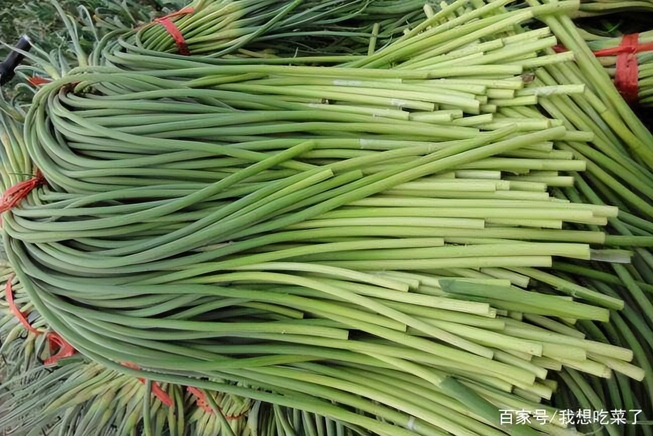 Eating garlic sprouts with it is simple and delicious, full of aroma ...