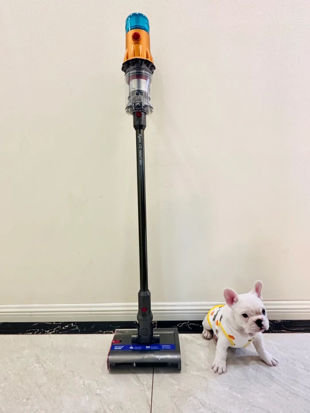 Wet and dry all-rounder: How does a vacuum cleaner that simplifies ...