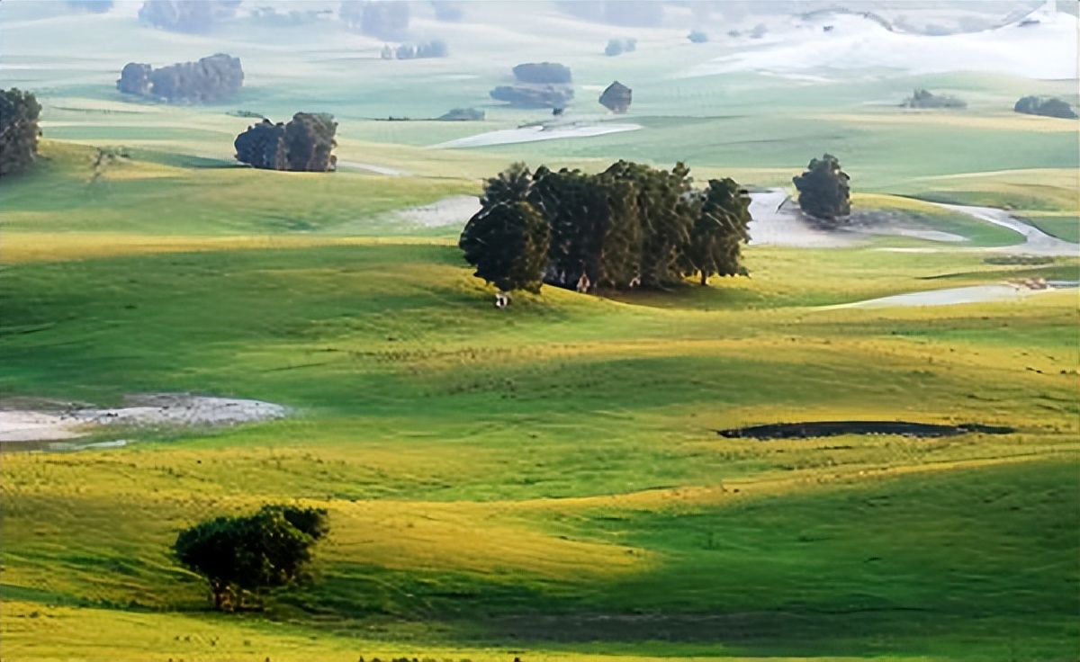 Chinese landscape photography Bashang grassland (2) Photography ...