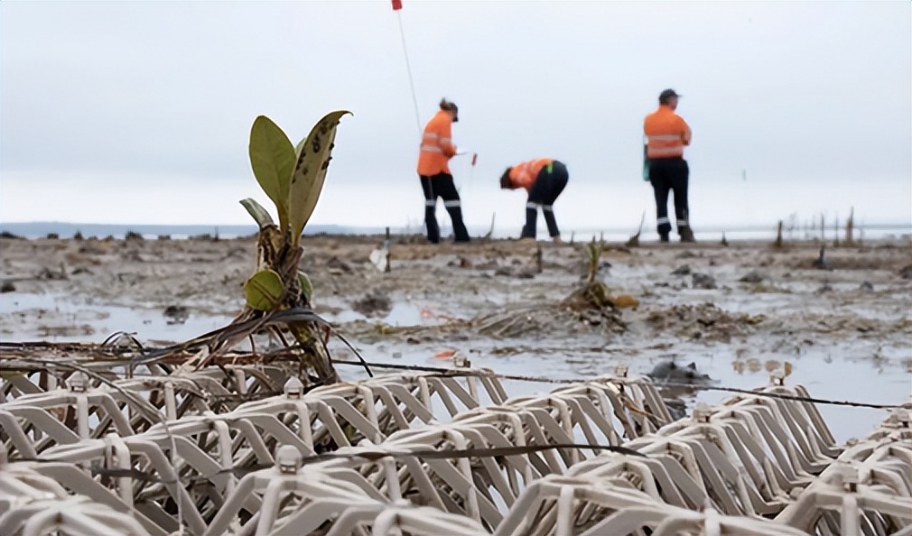 Australian scientists 3D print biodegradable mesh frame structures to ...