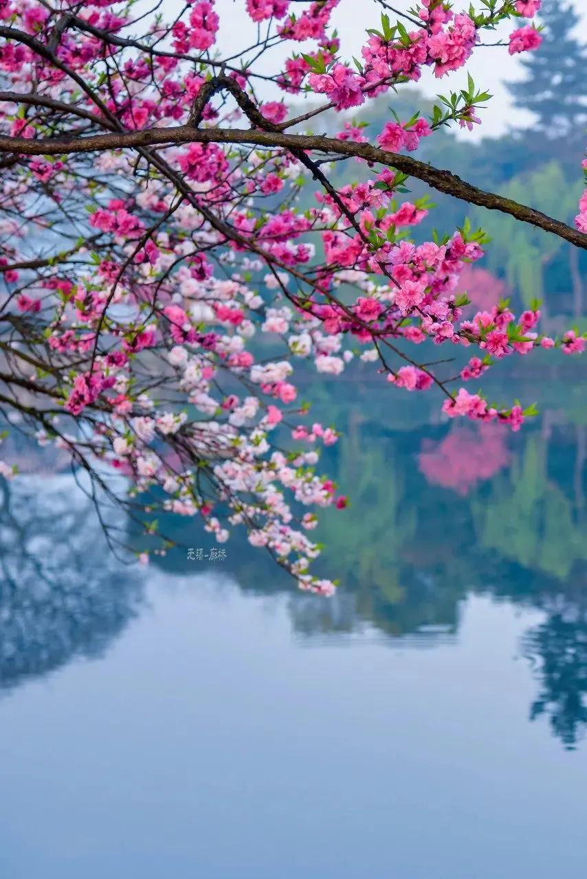 Couplets Tales and Legends (270 - iNEWS