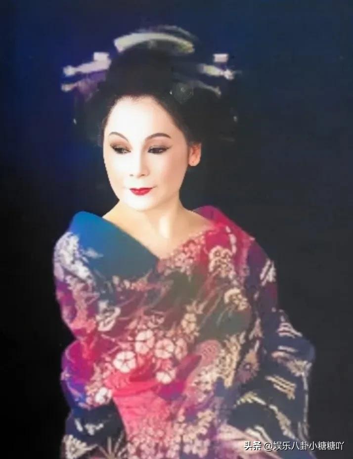 Japan's top geisha married the President of Indonesia with one wife and ...