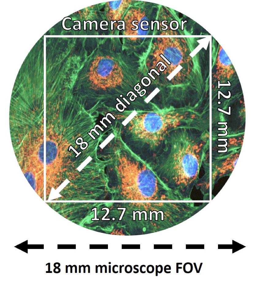 Bielefeld University develops new microscope to aid drug research - iMedia