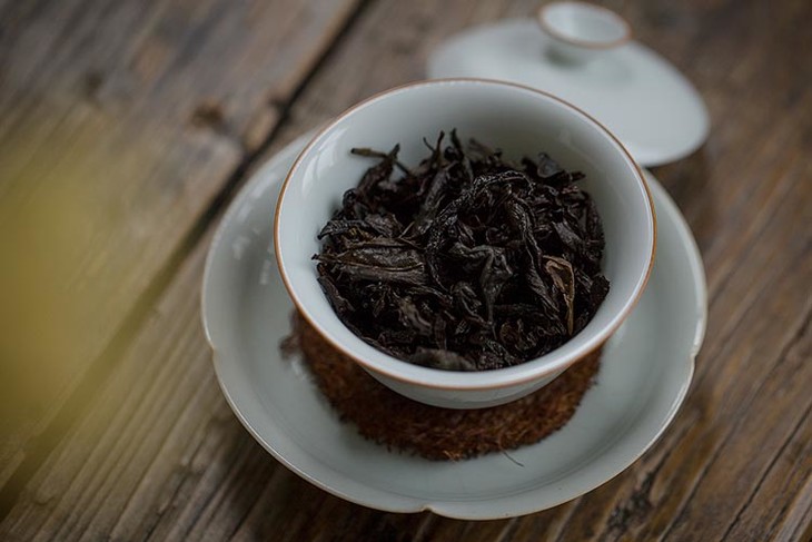Evergreen Tree in Tea History-Wuyi Tea - iNEWS