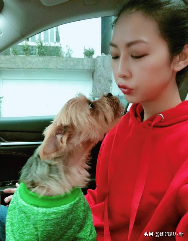 Peter Ho made a high-profile show of love, 40-year-old Lin Peixi is ...