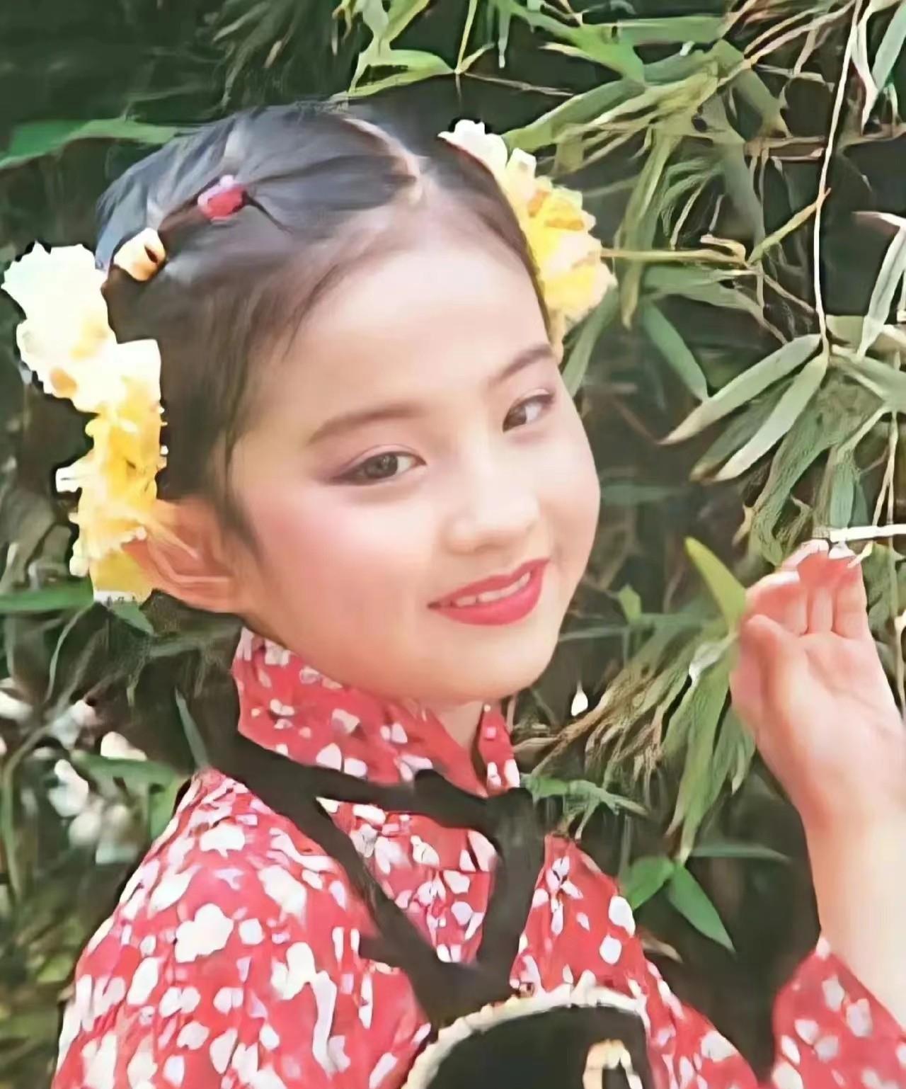 Liu Xiaoli: You think she is just beautiful, but you don't know how ...