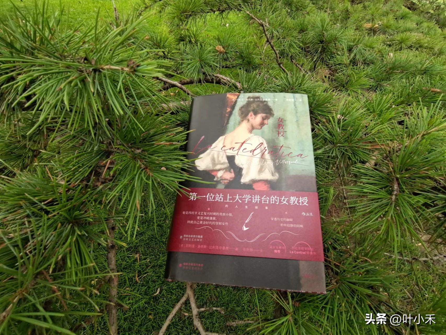 "Female Professor": The Awakening of Women's Awareness of Independence ...