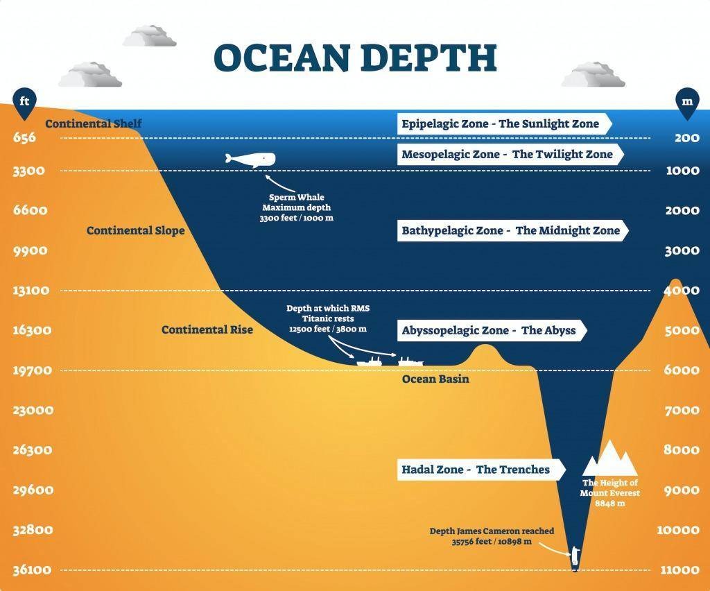 The 11,000-meter-deep Mariana Trench, the last thing scientists want to ...