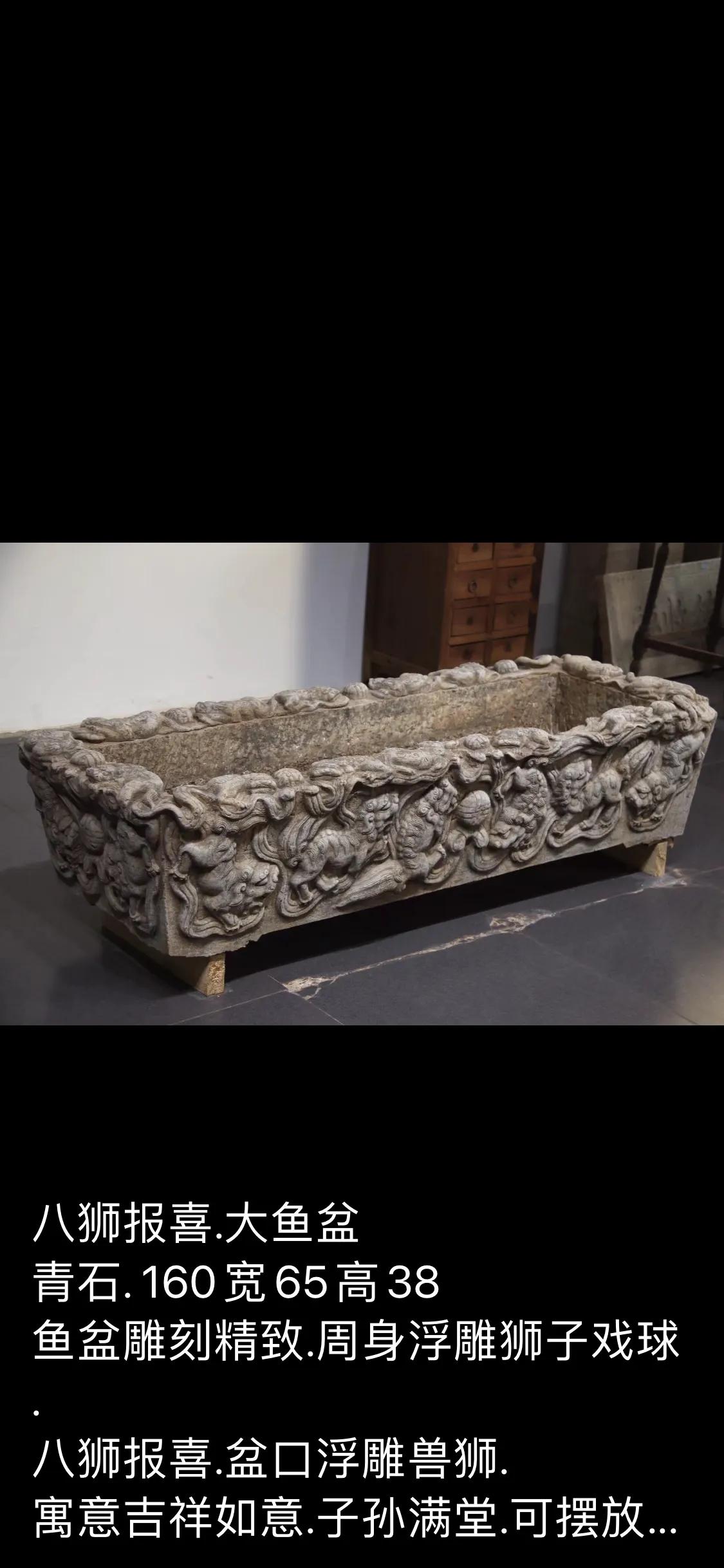 Eight lions announce good news. Big fish basin - iMedia