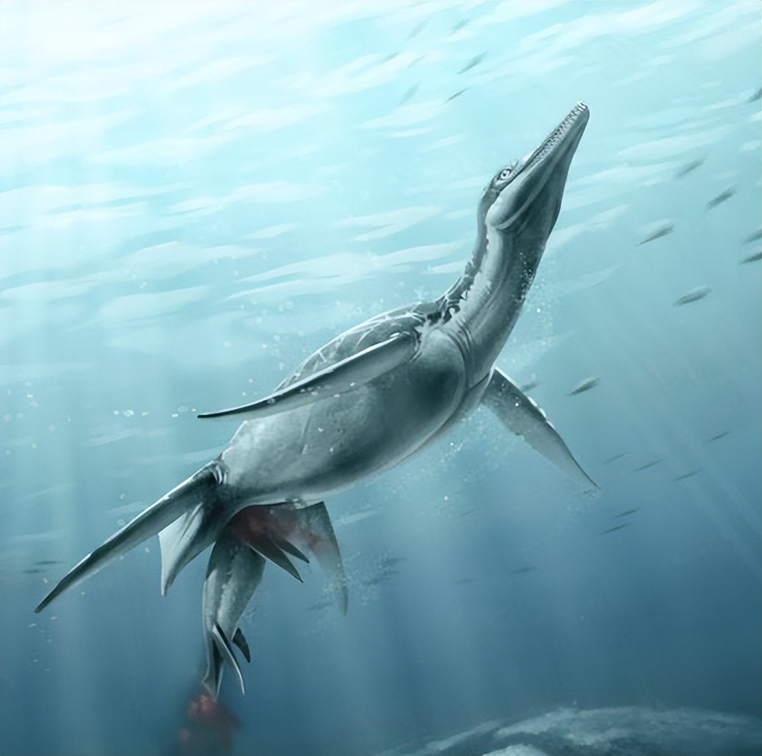 Explore the mysteries of paleontology based on the fossils of Triassic ...