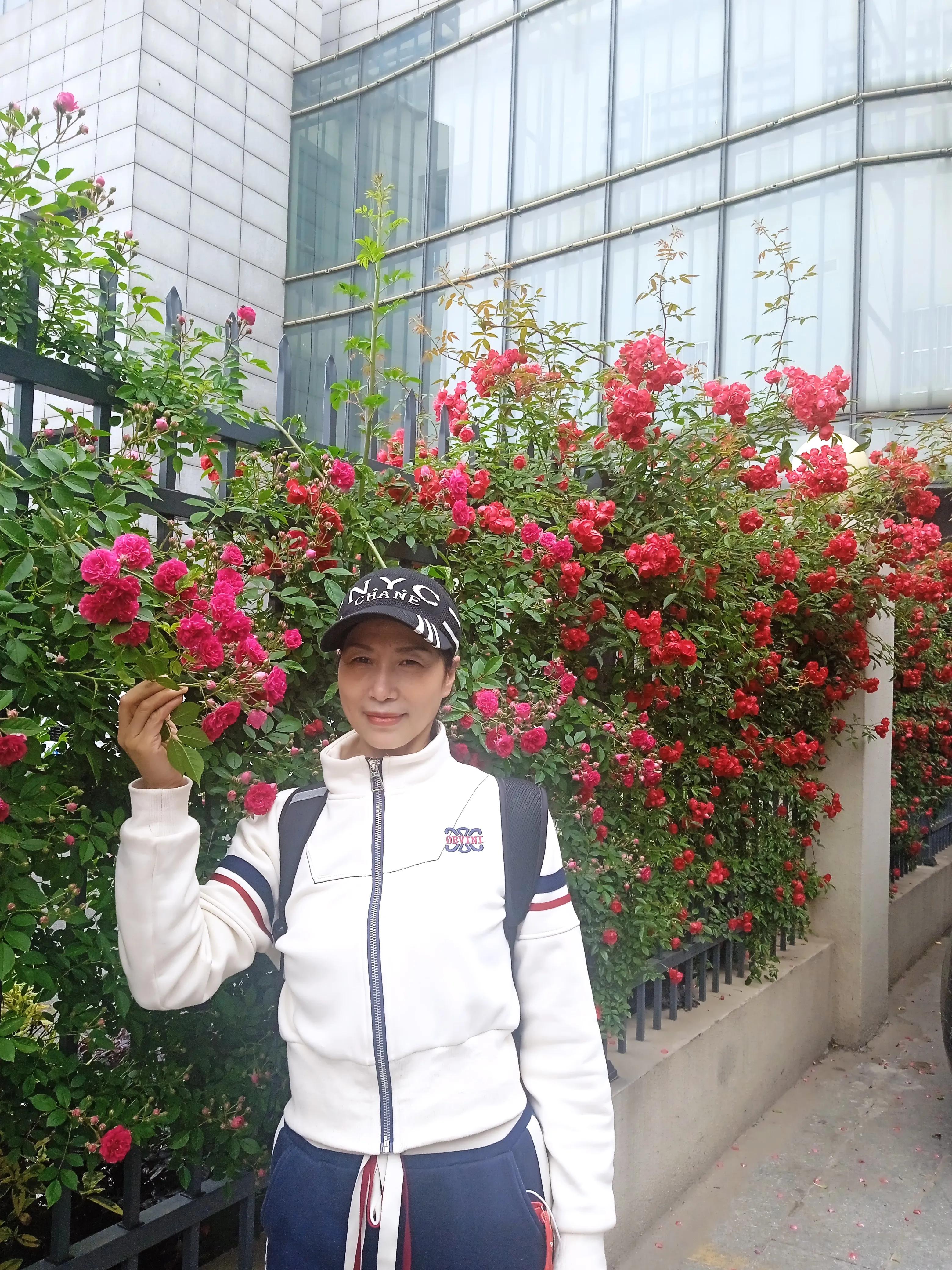 Zhang Qiang's Prose ‖Where the Flowers Bloom - iMedia