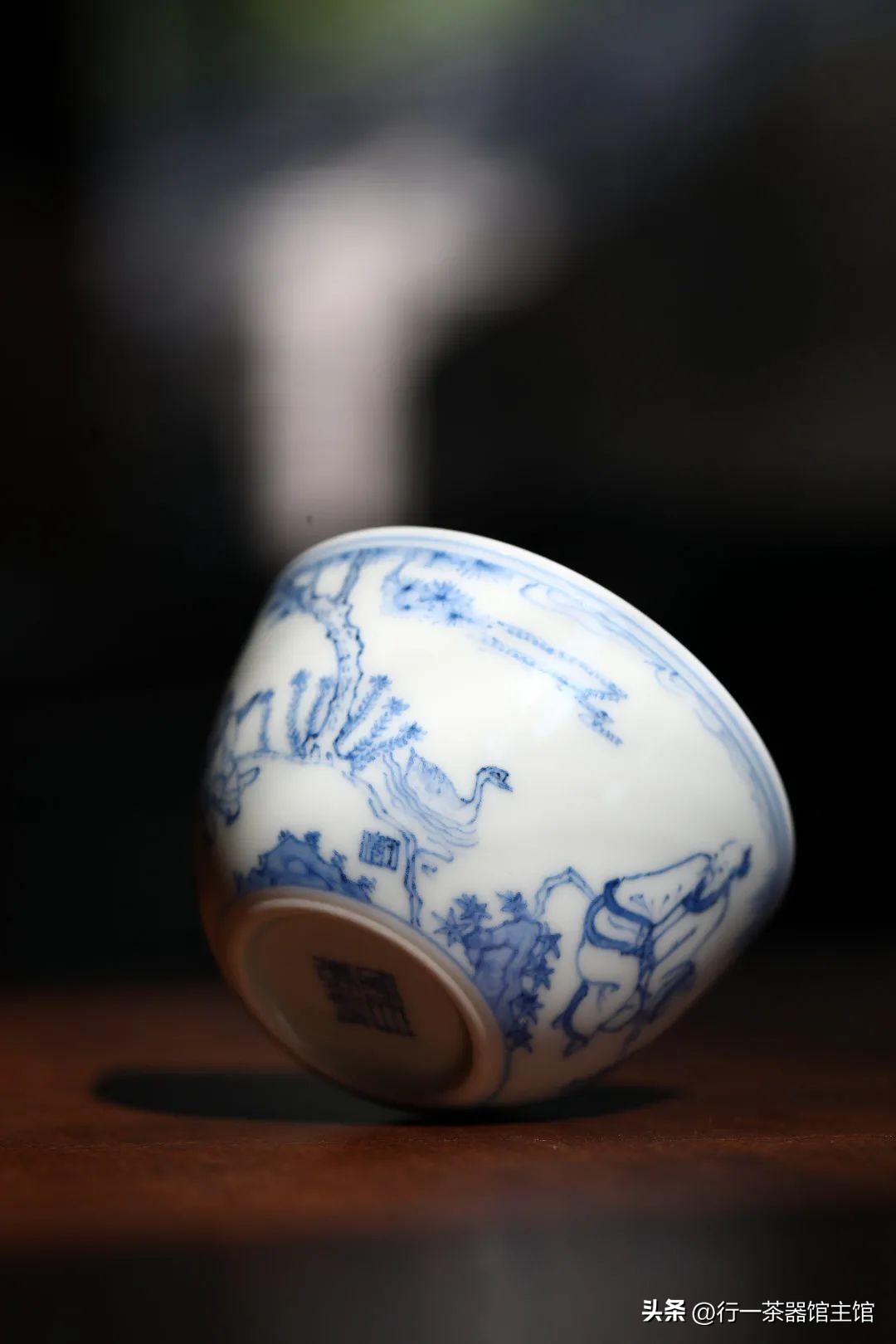 Shanyin Guoyu guest loves this good goose - iNEWS