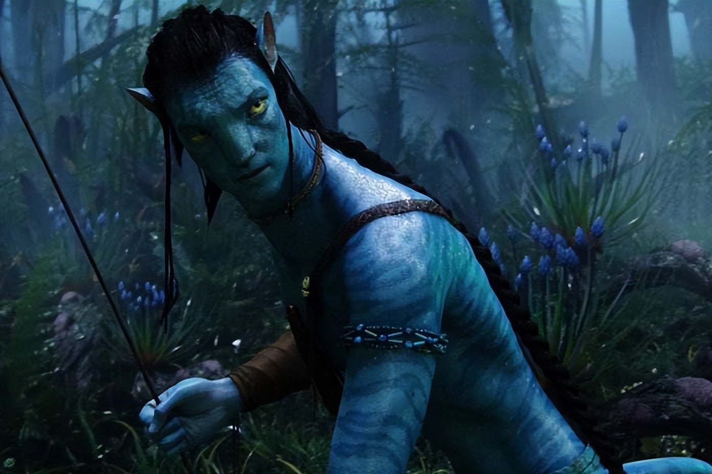 Hidden details of the picture!Avatar: Those seemingly inadvertent shots ...