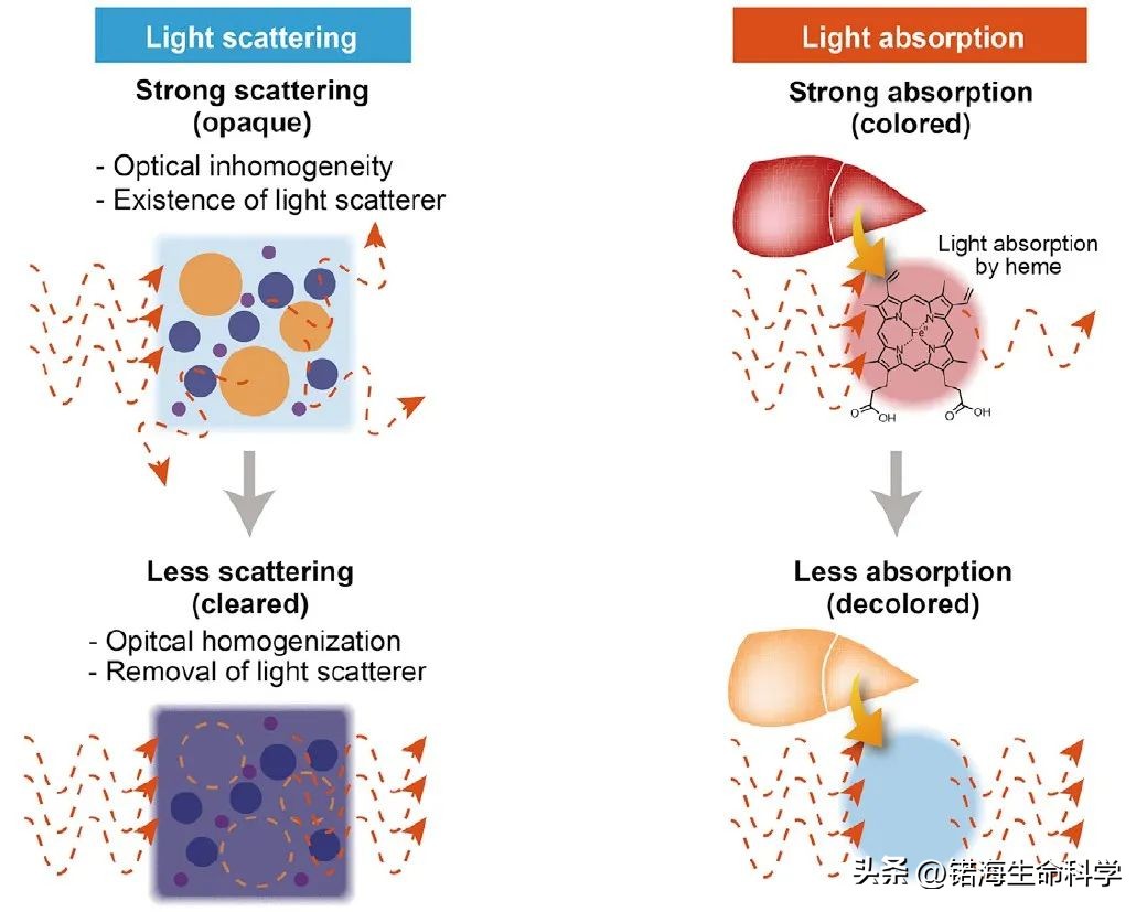 There are thousands of organizational transparency solutions—how to ...