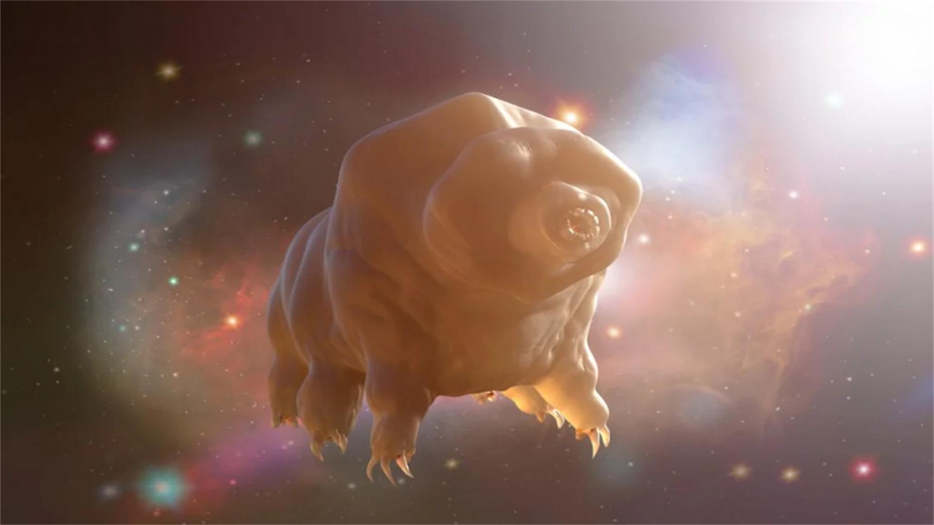 13 Reasons Why Tardigrades Are Super Animals - iNEWS