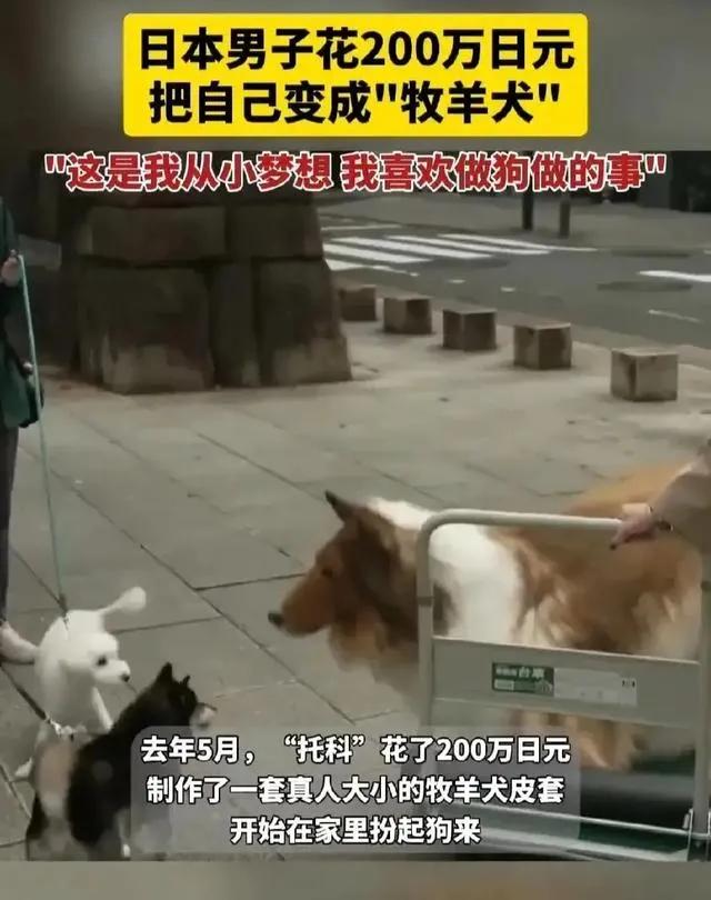 Chasing your dreams or acting crazy? Japanese man 'Toko"s dog dreams ...