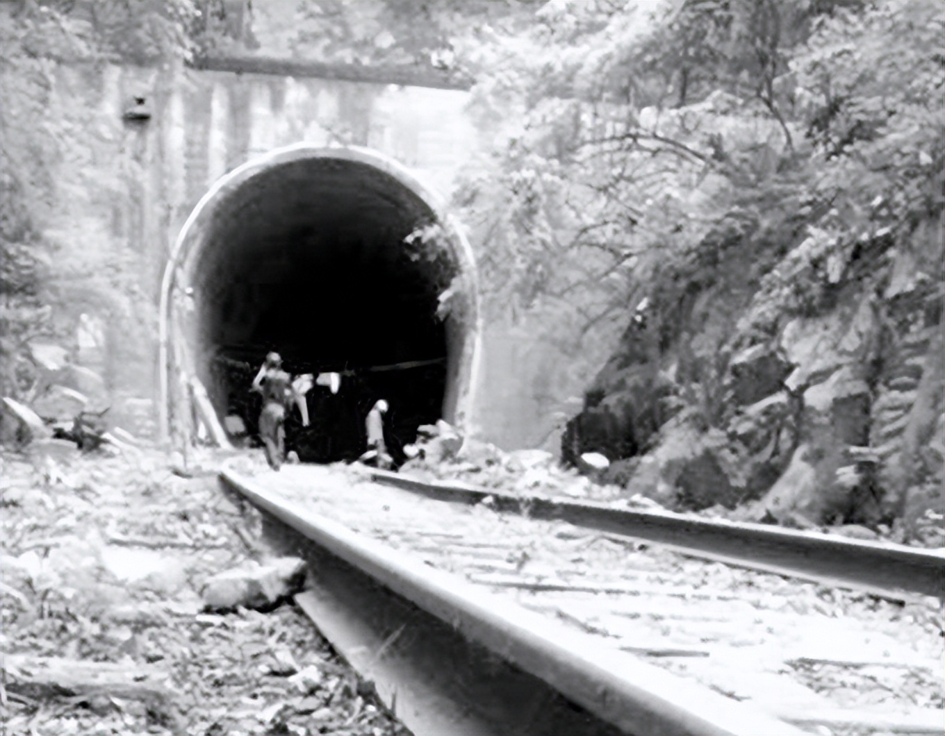 The more outrageous things are, the easier they are to be widely ...