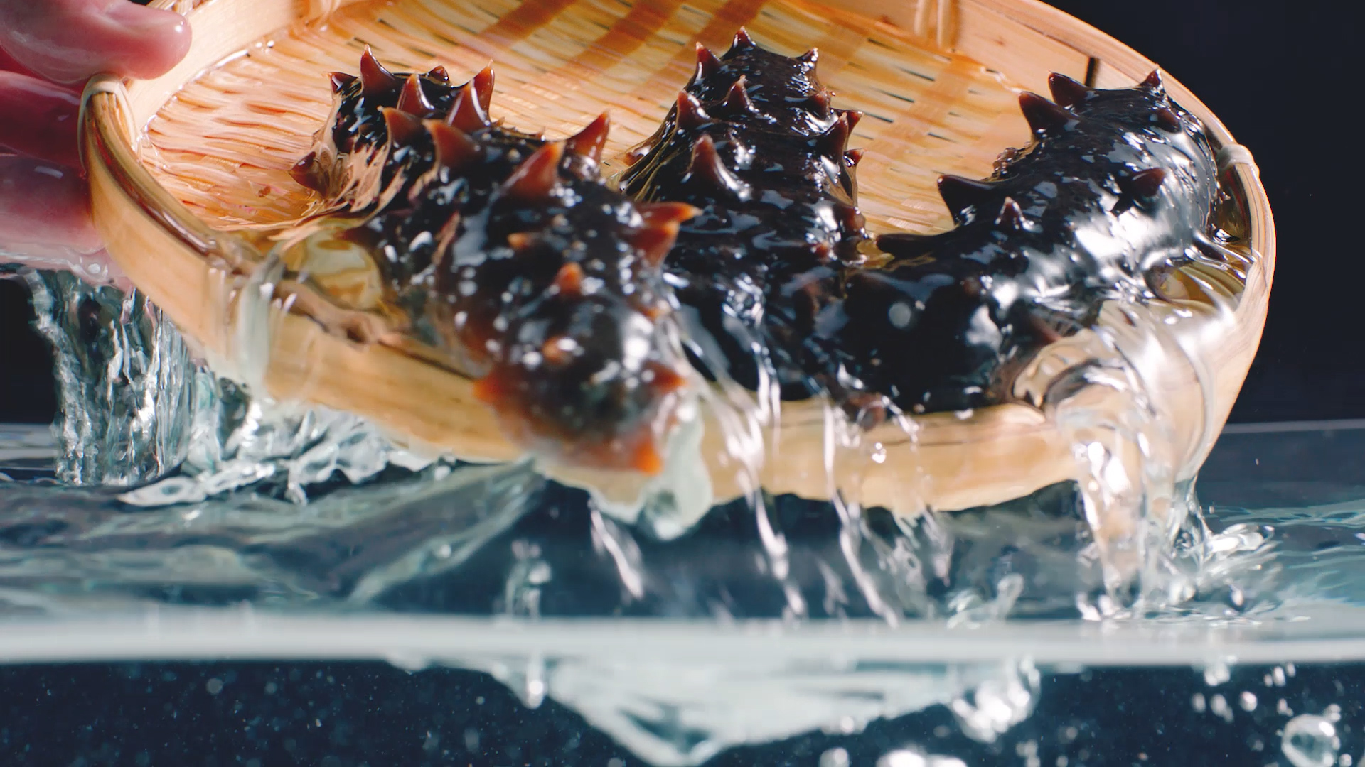 What are the most nutritious ingredients to pair with sea cucumbers ...