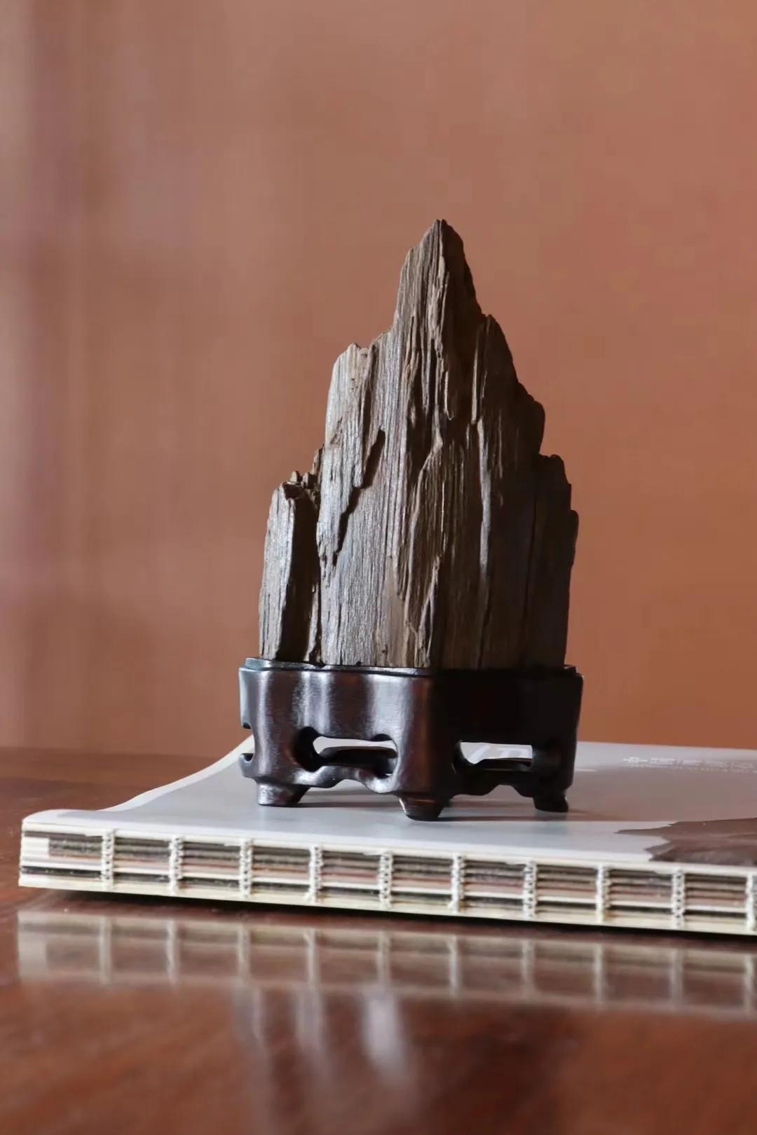 "Qifeng Wanhe" ⛰️ The best wood fossil raw stone mountain - iNEWS