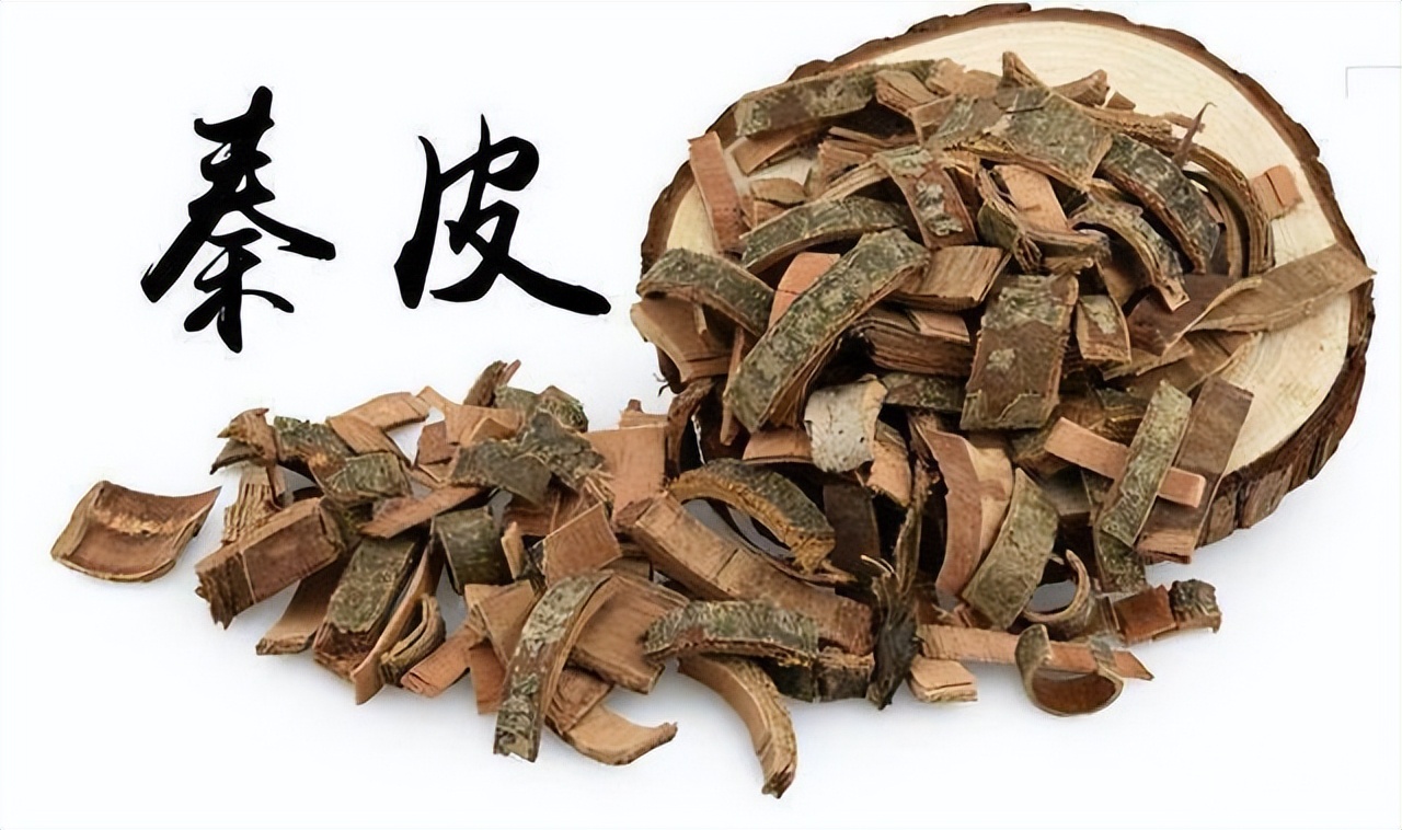 Traditional Chinese medicine Qinpi: clearing heat and drying dampness ...