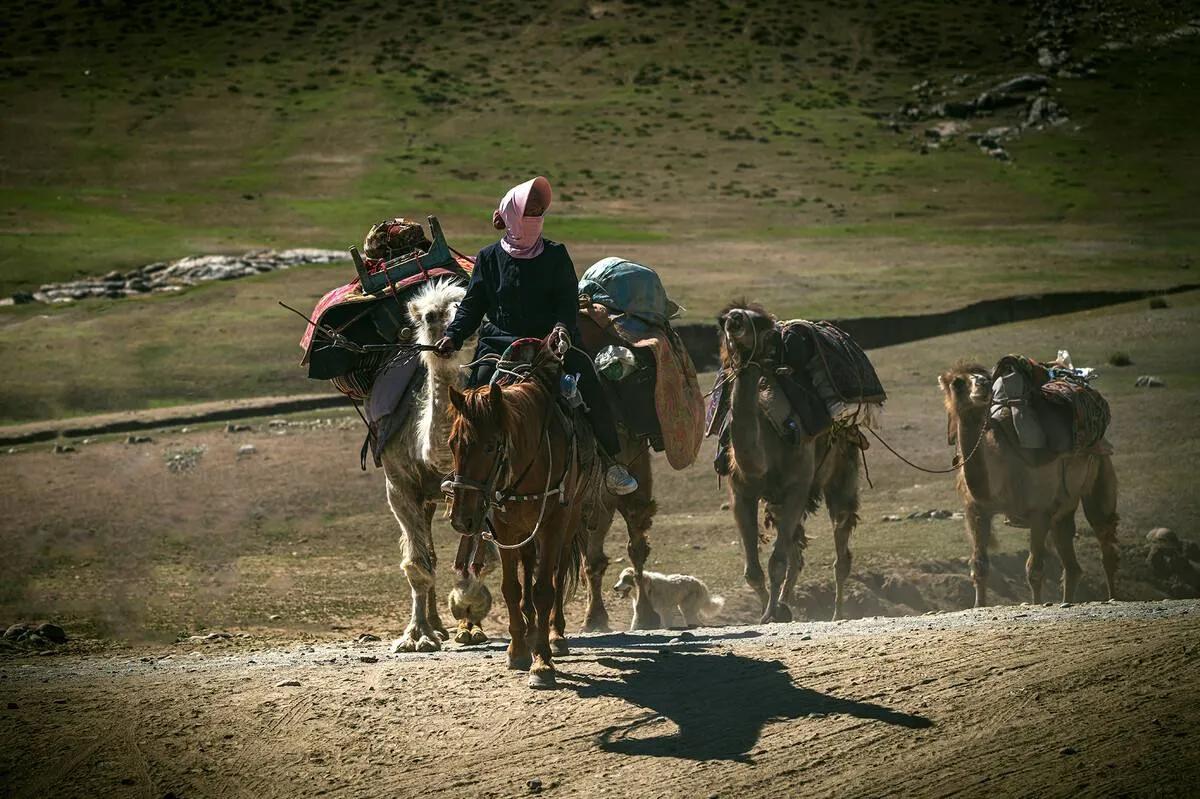 Altai's Spiritual Journey-Reading Li Juan's "The Trilogy of Sheep Road ...