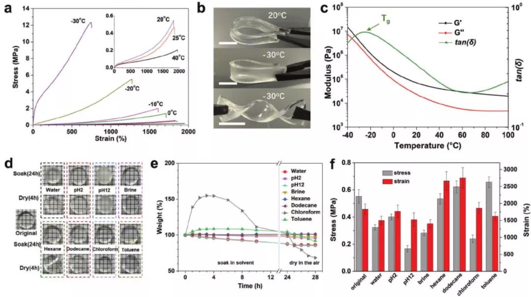 South China University of Technology develops multifunctional ionic ...