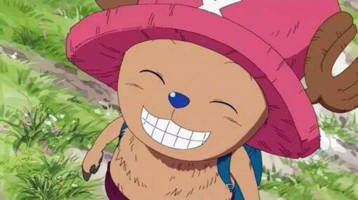 "One Piece" Chopper's top ten advantages: small body, great wisdom ...