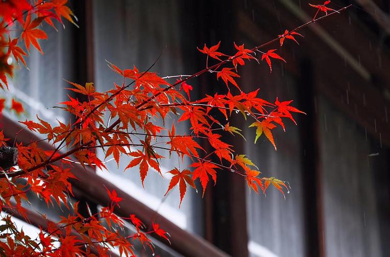 "Xunzi" 9 famous sayings, every sentence is incisive, benefit a lot - iNEWS