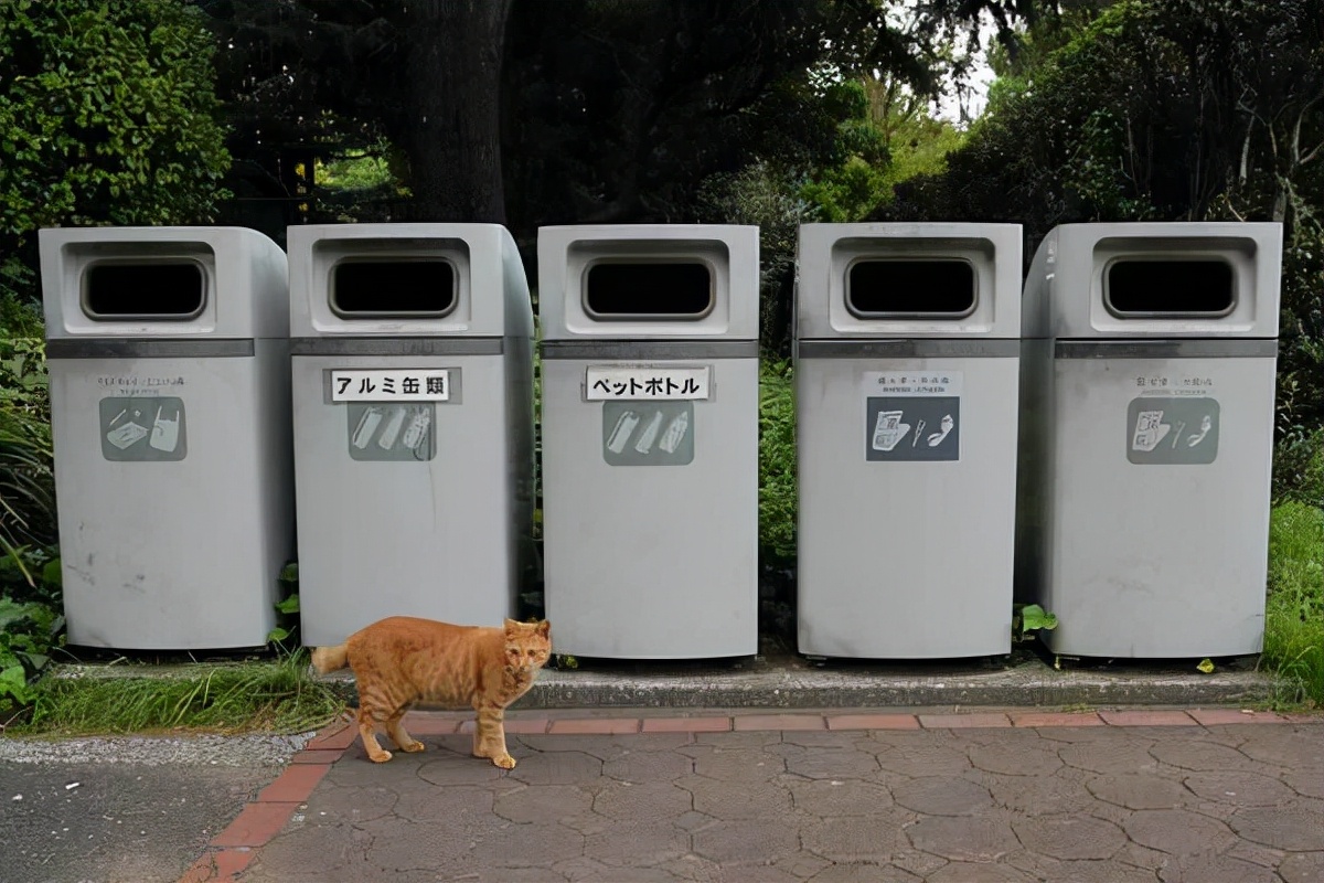 The cat that coquettishly begs for food during the day, and the beast ...