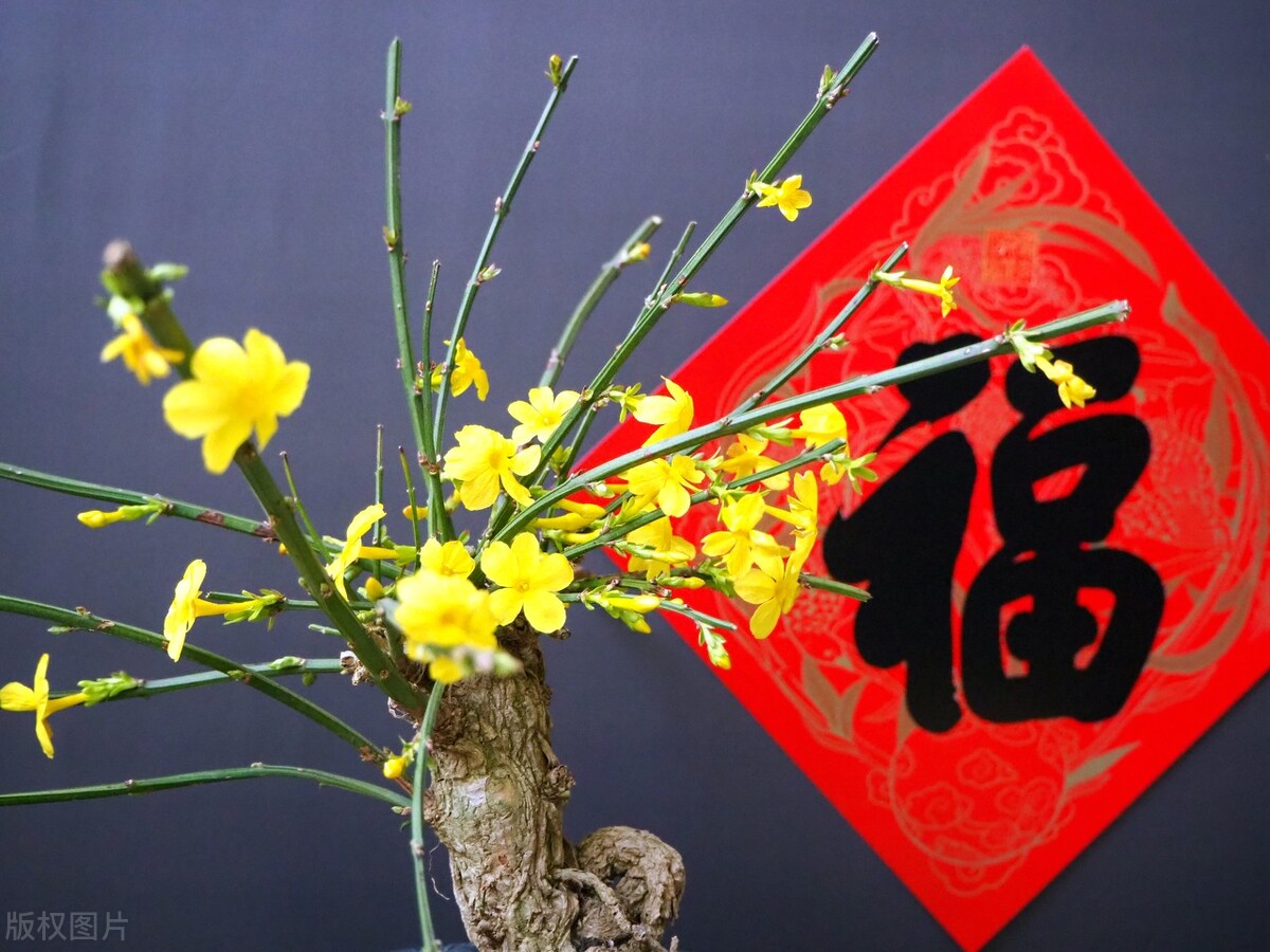 Poems Written in Spring (New Rhyme)——Wang Ping, Gansu - iMedia