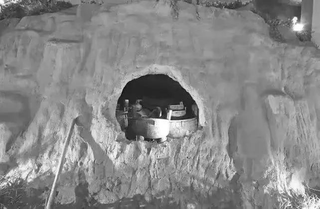 The Shan family is a mysterious family that can control the royal ...