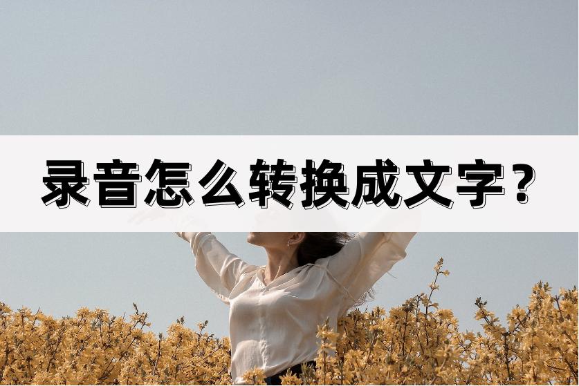 How to convert recording into text? Practical skills for transcribing ...