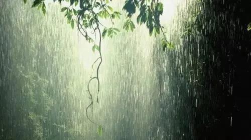 The spring rain looks at the smoke willow, the summer rain looks at the ...