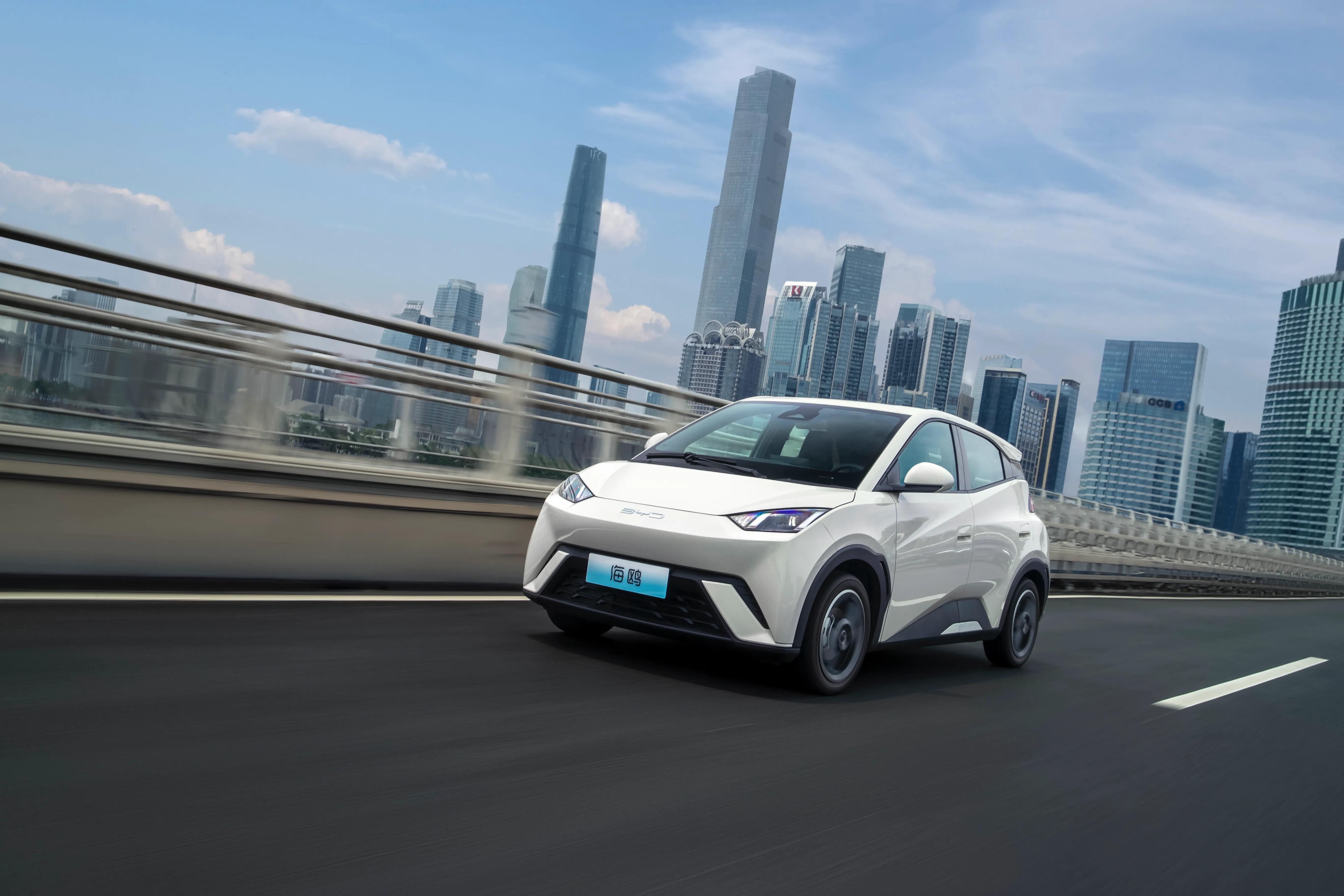 Seagull's new color scheme is here, get it quickly! - iNEWS