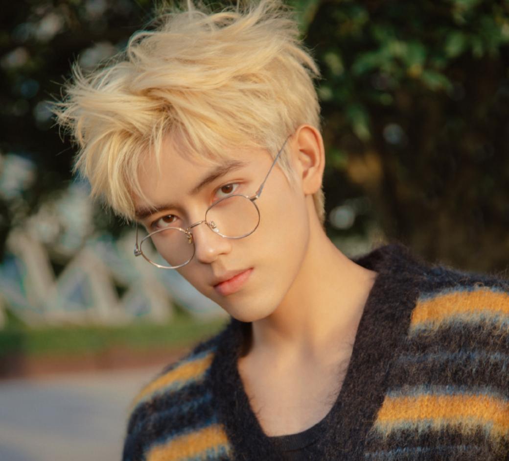 Chen Feiyu's bed photos sparked hot searches, the woman was revealed to ...