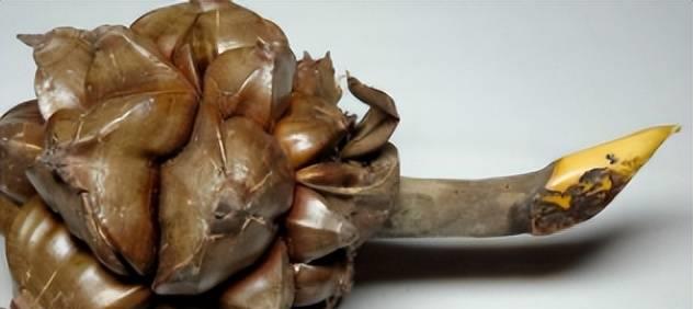This "wild fruit" was once neglected everywhere, but now it has been ...