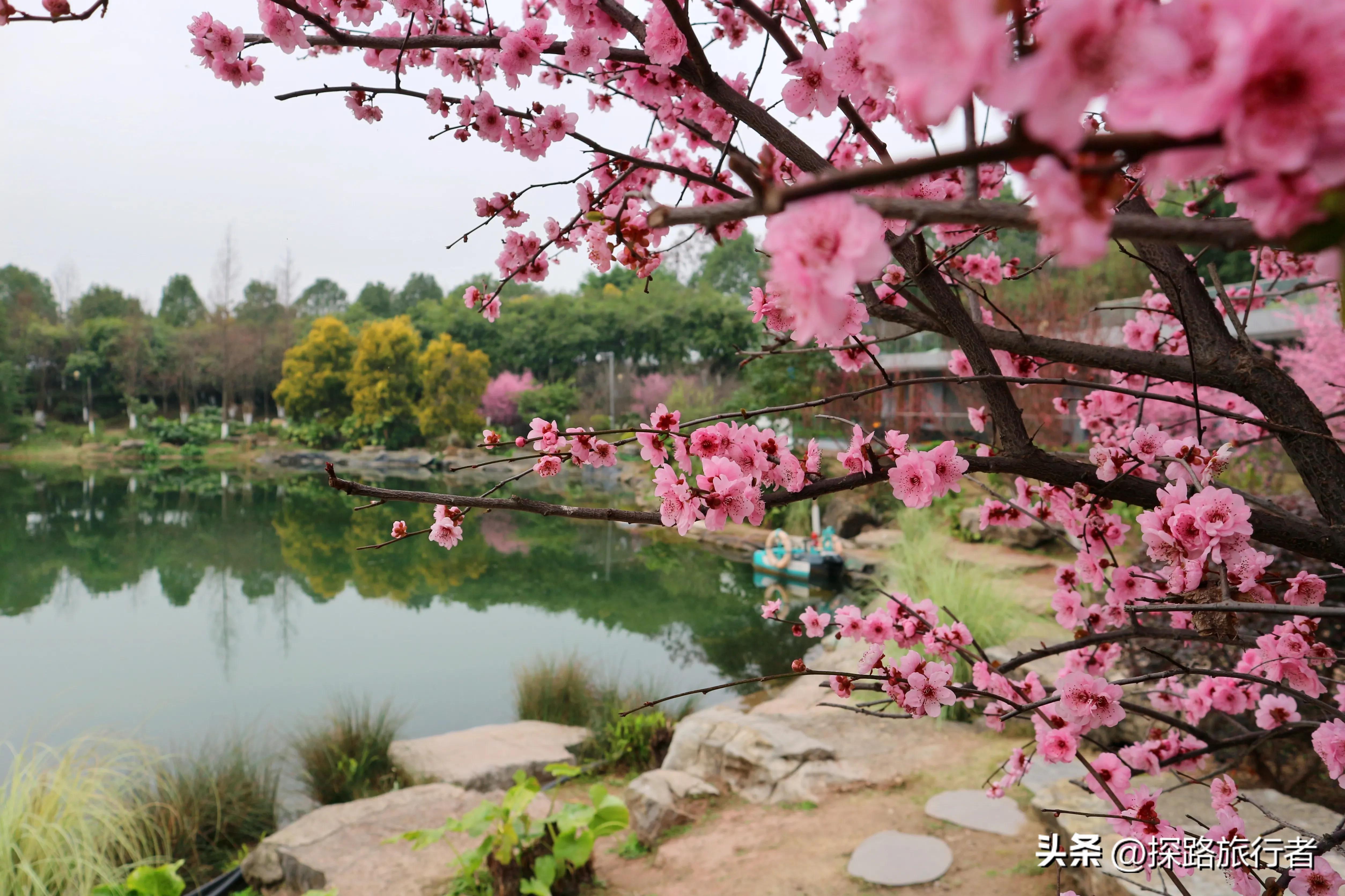 Chongqing Lijia Wisdom Park, the different scenery of each scenic spot really surprised me ...