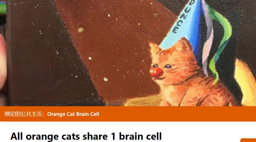 All orange cats share one brain cell?Netizens complain about stupid and ...